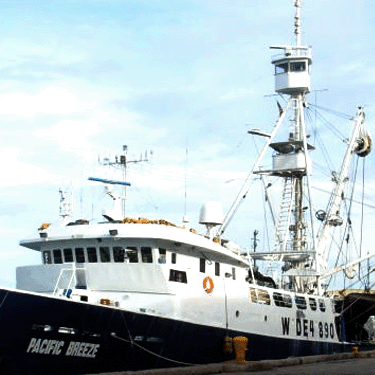 Fjord Inc. | Chafe-Pro | STREP